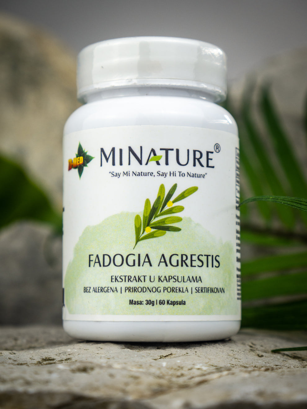 Fadogia Agrestis 500mg 60 kapsula - Td Med – TD-Med RS